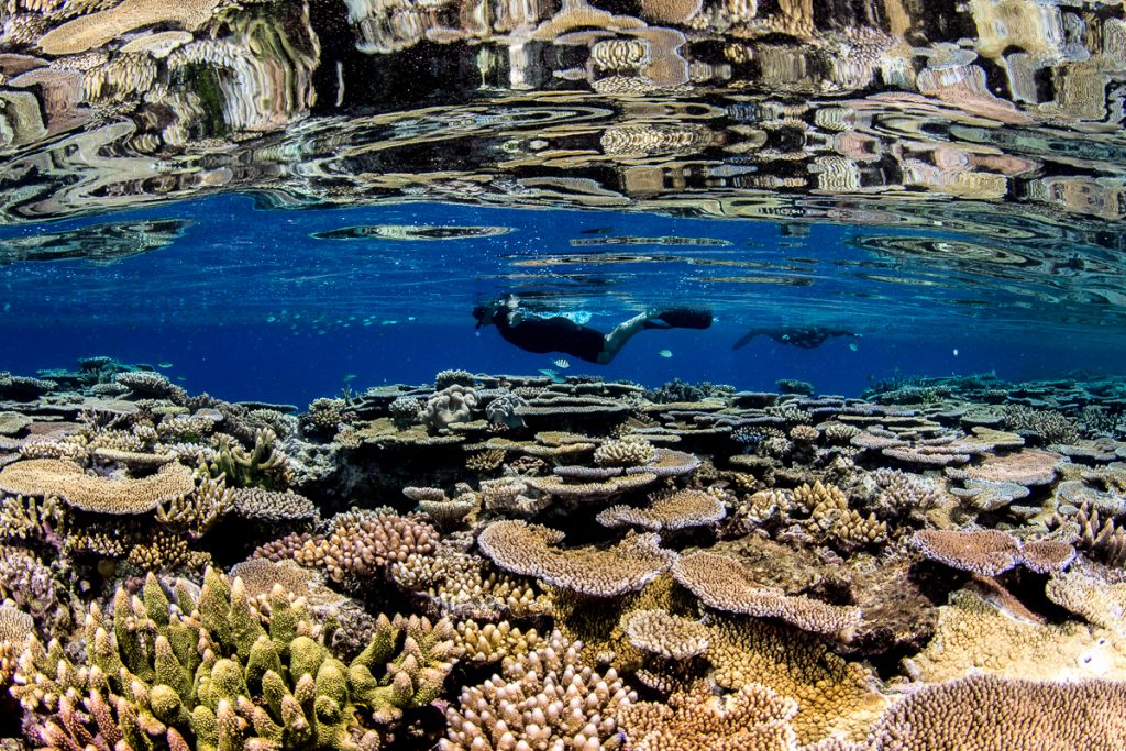 Designing a GBR long-term monitoring program for Reef aesthetics - NESP TWQ